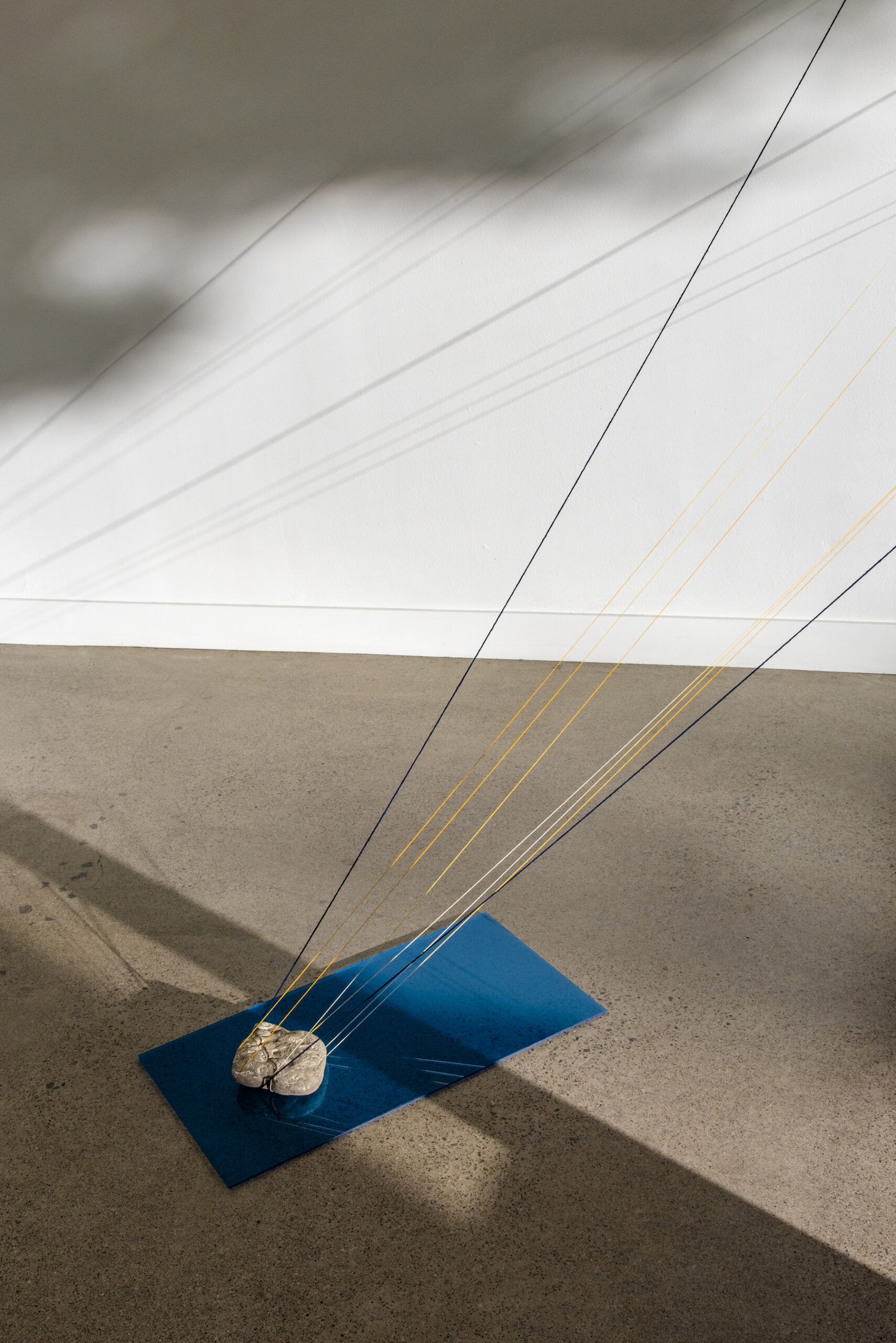 Exploring the landscapes of California — [working]