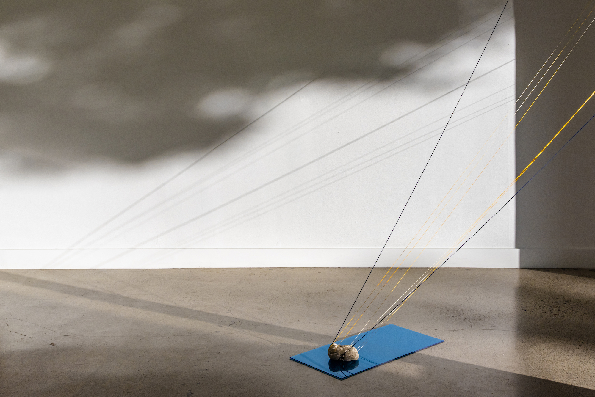 Exploring the landscapes of California — [working]